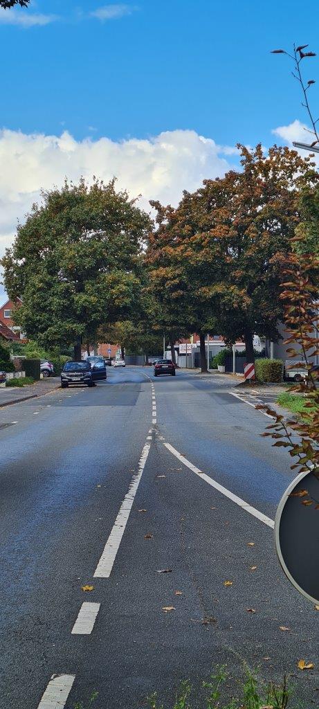 Stellungnahme zur Baumfällung der Ortsdurchfahrt in Greffen - Bündnis ...